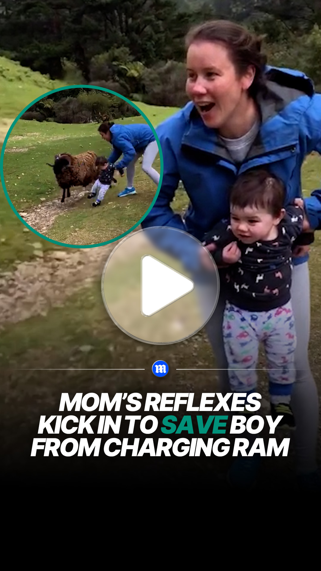 Mom reacts instantly to pull child away from charging ram