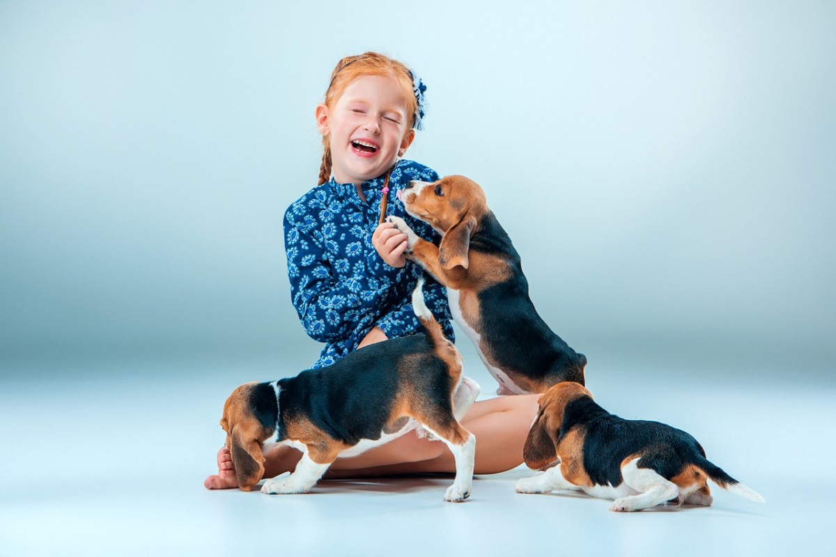 These 7 small pets are perfect for kids and easy to care for