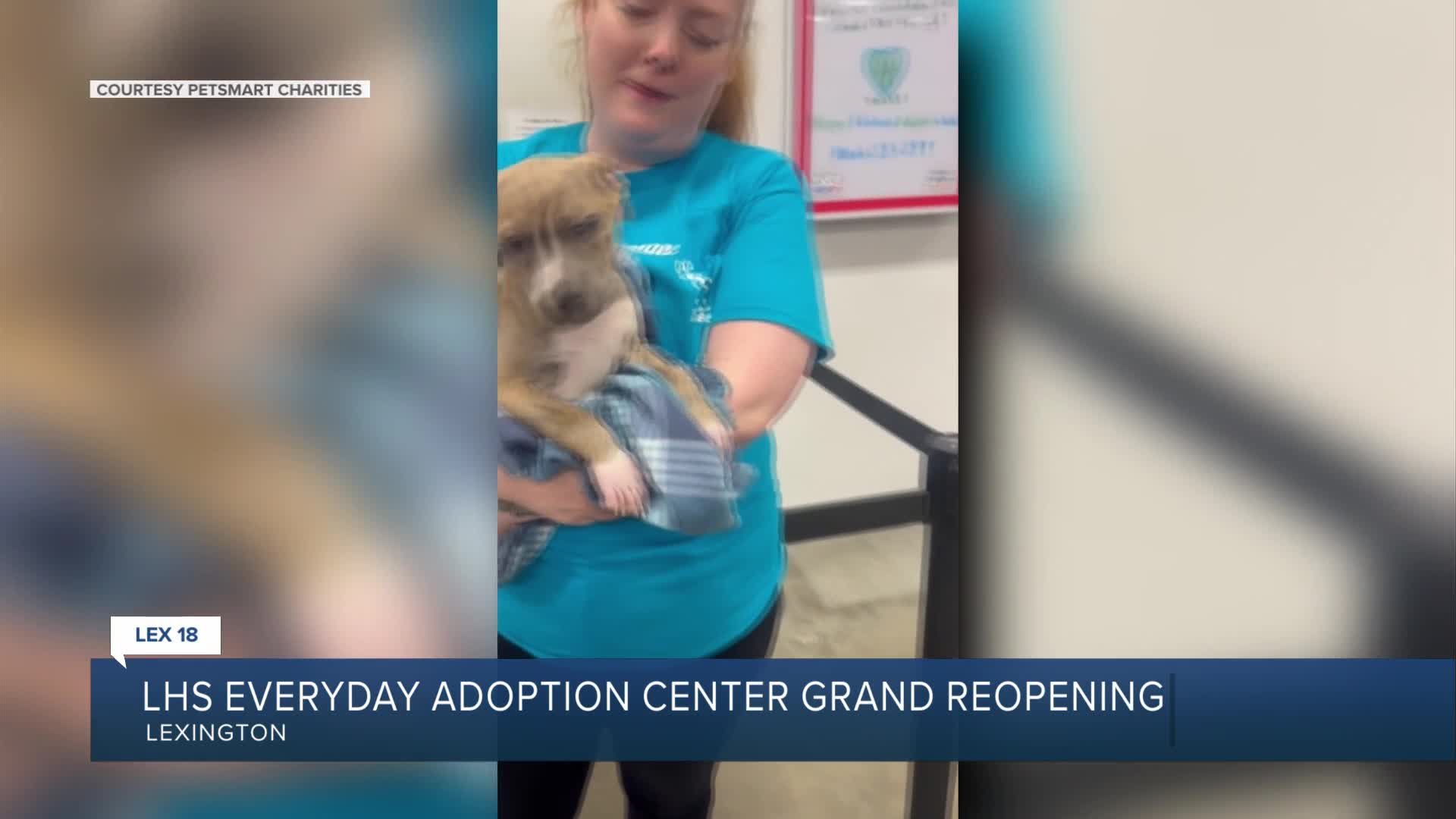 Lexington Humane Society opens new adoption center