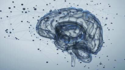 Esto Es Lo Que Le Pasa A Tu Cerebro Cuando Te Jubilas Según La Ciencia