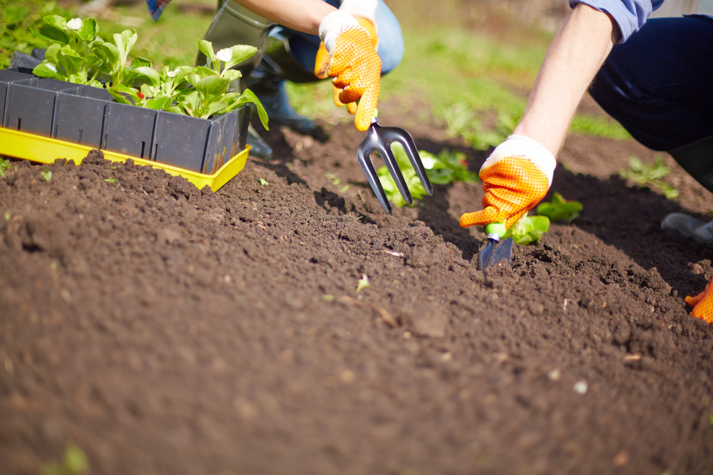 15 costly garden mistakes that waste money