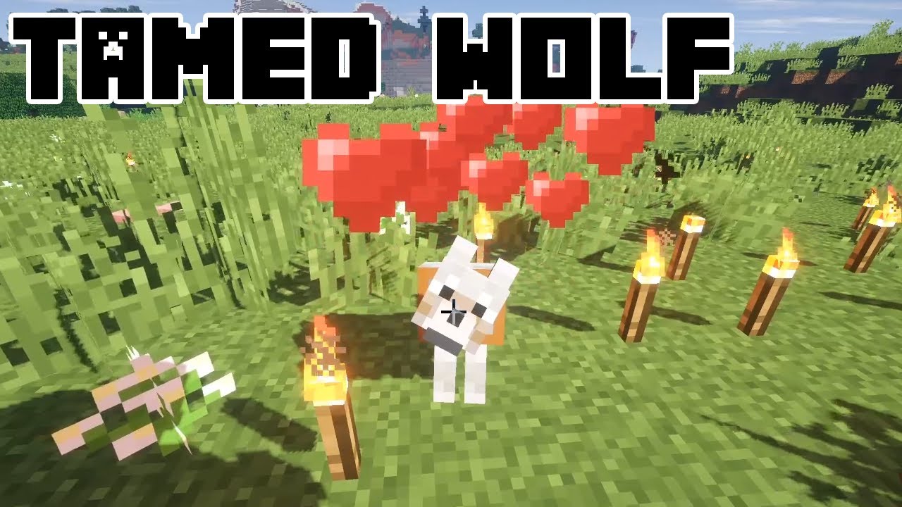 Tamed wolf - a Minecraft parody of Maroon 5's Payphone + WARNING: Don't ...