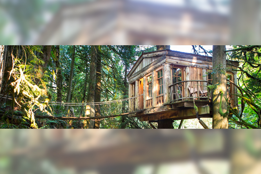 12 unforgettable tree house accommodations around the world