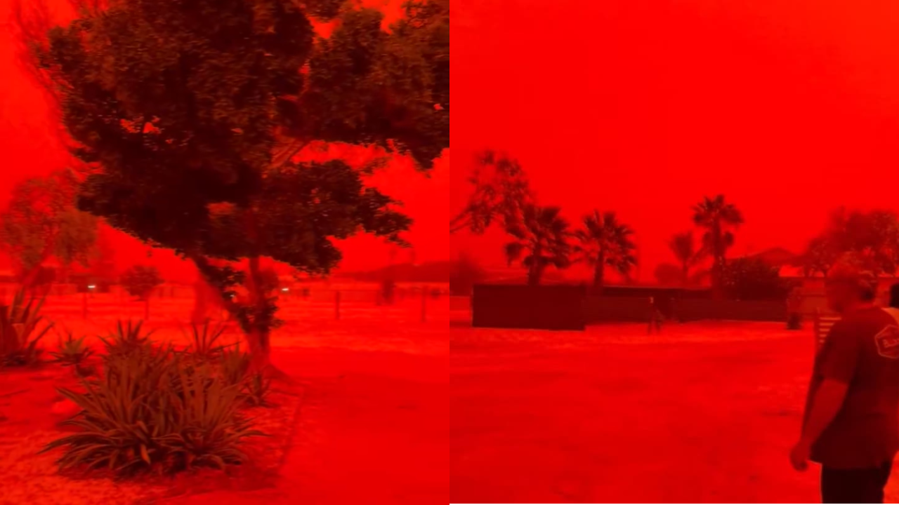 Watch: Australia's sky turns blood red, viral video sparks 'apocalyptic ...