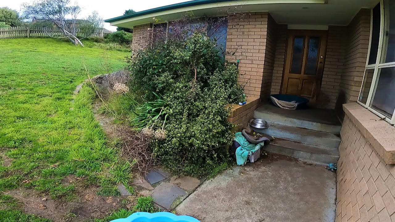 I tackled our overgrown garden disaster! 🌿