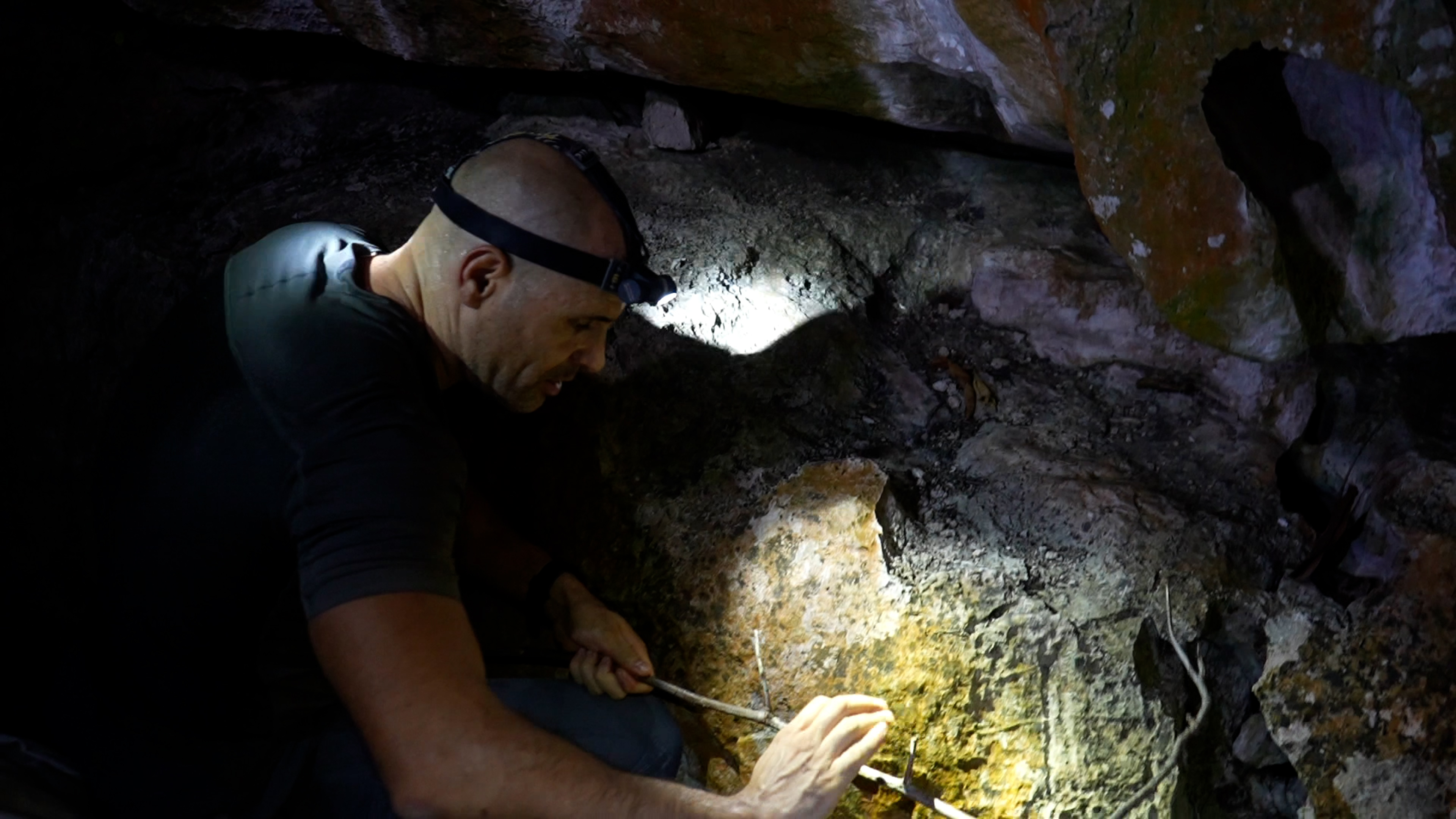Raw video: Stunning turquoise viper among incredible finds in Cambodia ...