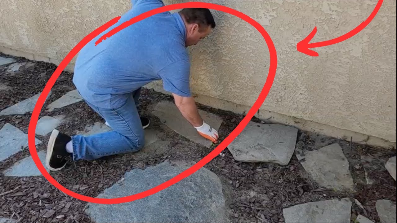 The genius backyard idea everyone will be copying!