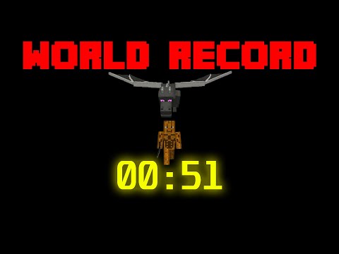 Fake Minecraft speedruns be like