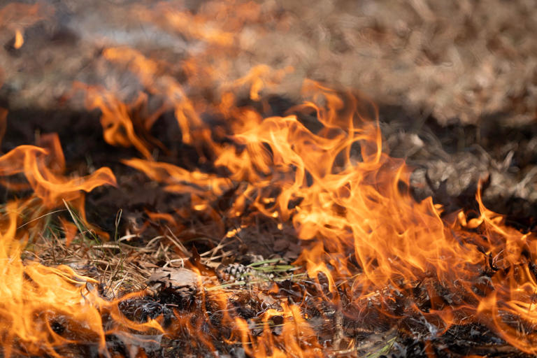 Wildfire at Florida-Georgia line expands to 4,000 acres