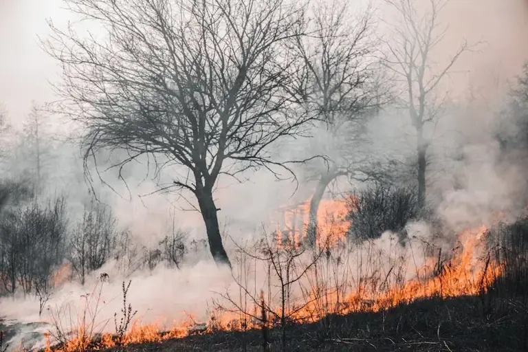 Maps reveal the parts of the US most vulnerable to future wildfires
