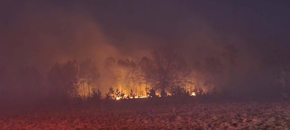 Evacuations lifted, no homes lost in more than 180-acre wildfire in ...