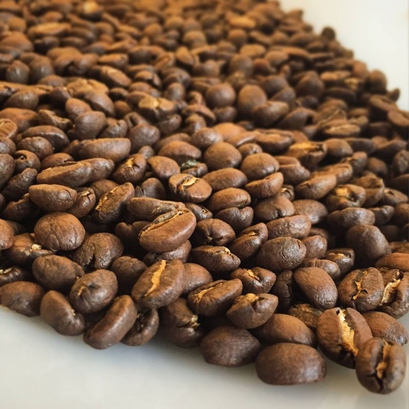 This dog-friendly cafe in New Jersey lets you roast beside the best ...
