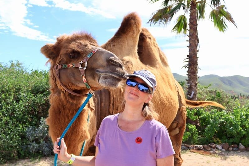 From cruise to camels: The 5 must-do Cabo San Lucas excursions!