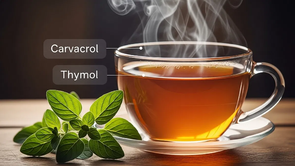 Té de orégano: el remedio natural que gana popularidad por sus ...