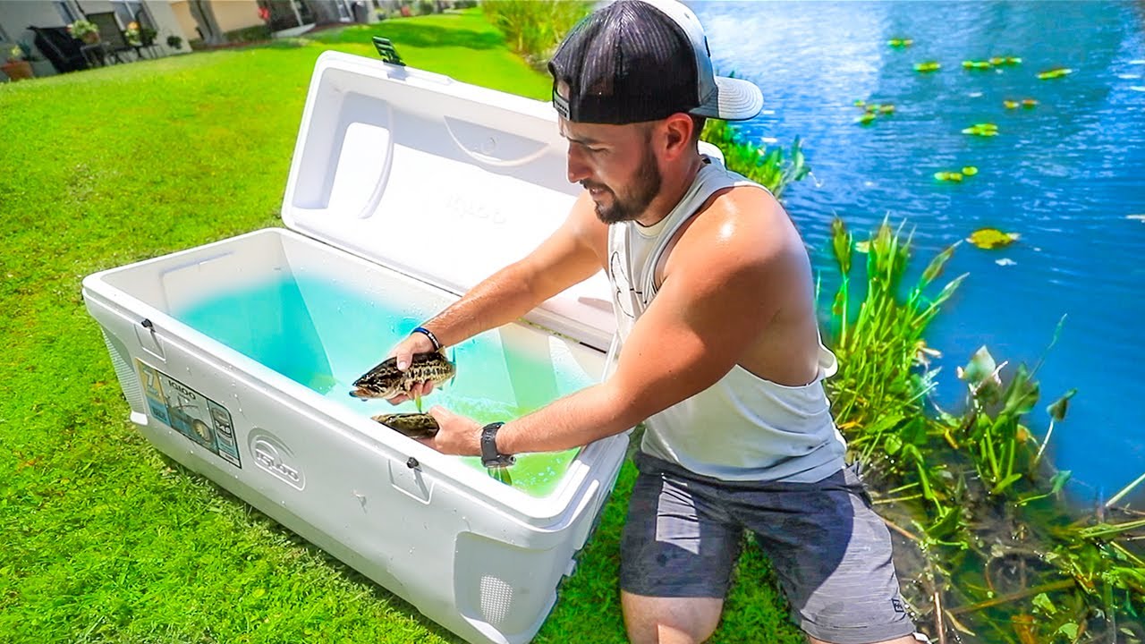 I moved leopard print bass to a new pond!