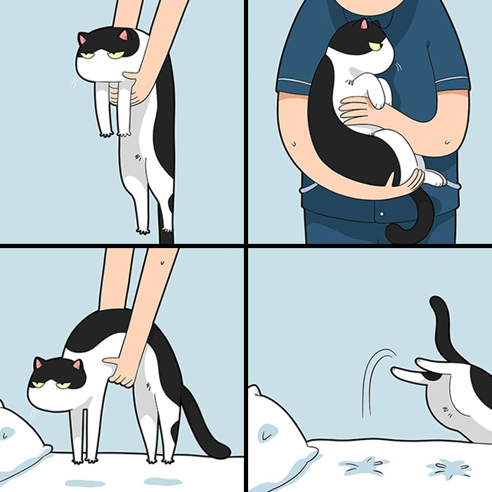 30 comics that perfectly capture life with a cat