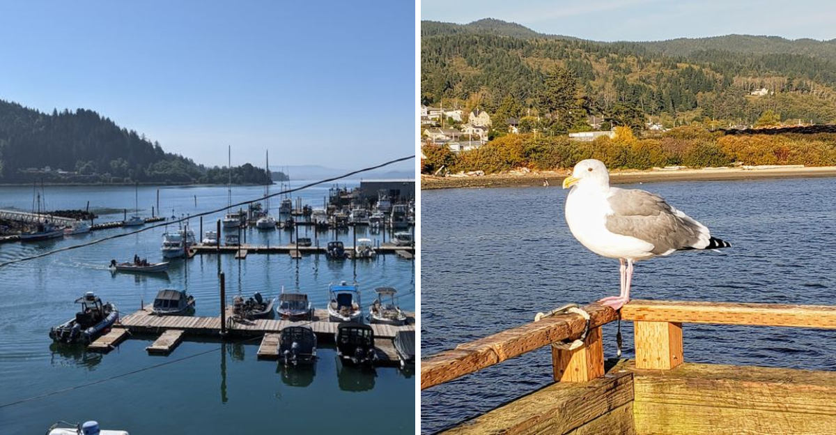 This tiny Oregon coast town is packed with fishing, history, and laid ...