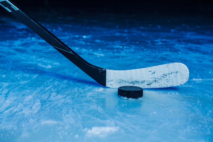 Baton Rouge hockey enters new era under new ownership