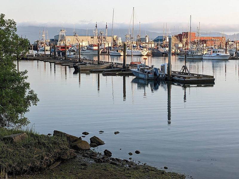This tiny Oregon coast town is packed with fishing, history, and laid ...