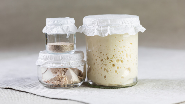 10 types of yeast and how to use them