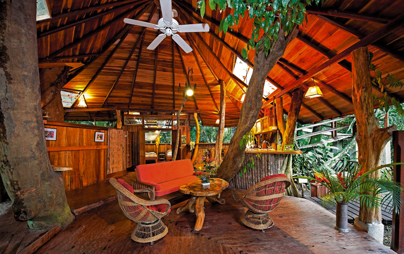 Breathtaking tree house rentals that look even better in person