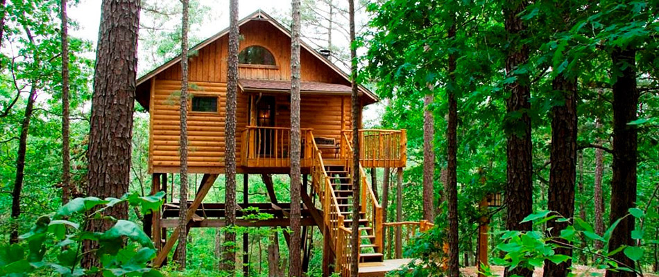 12 unforgettable tree house accommodations around the world