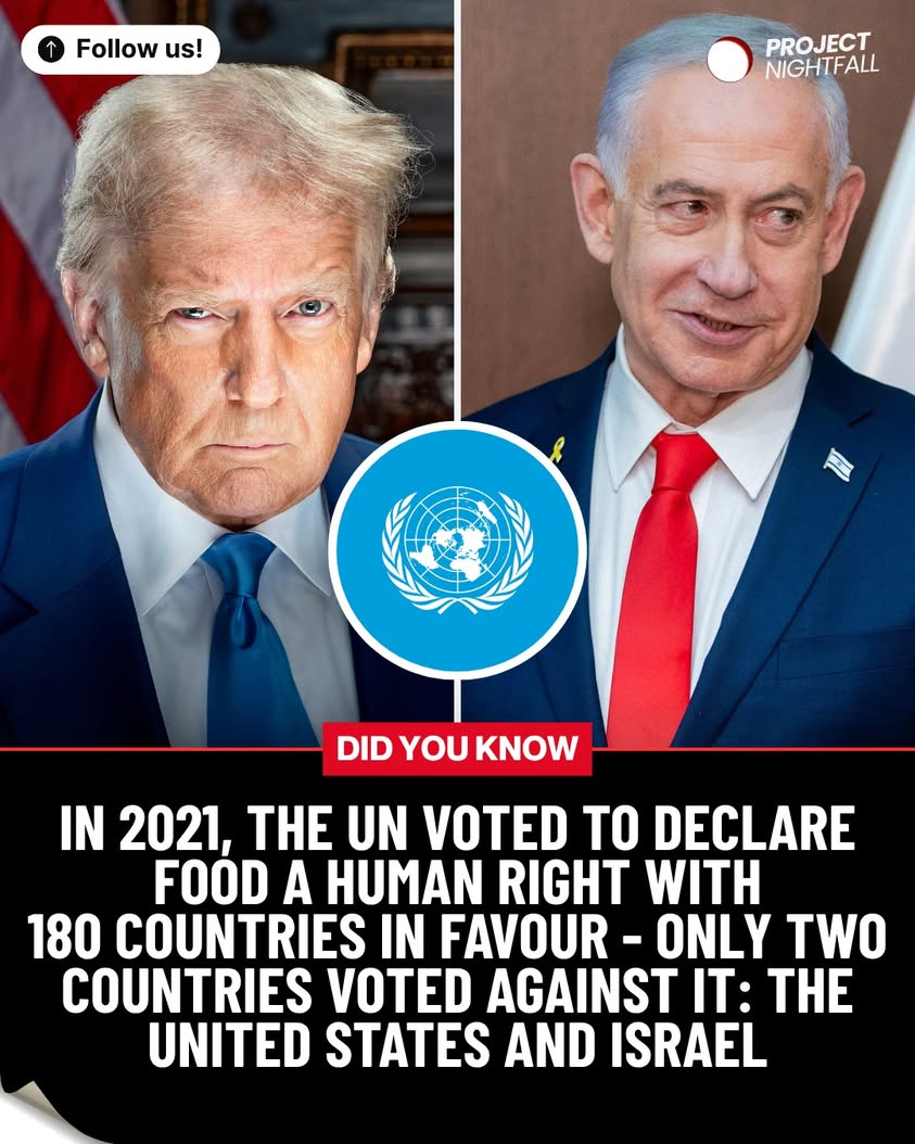 Shock: US & Israel deny food as a human right, stand alone against the ...