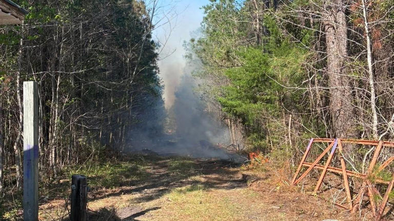 40-acre Onslow County wildland fire contained after multi-agency response