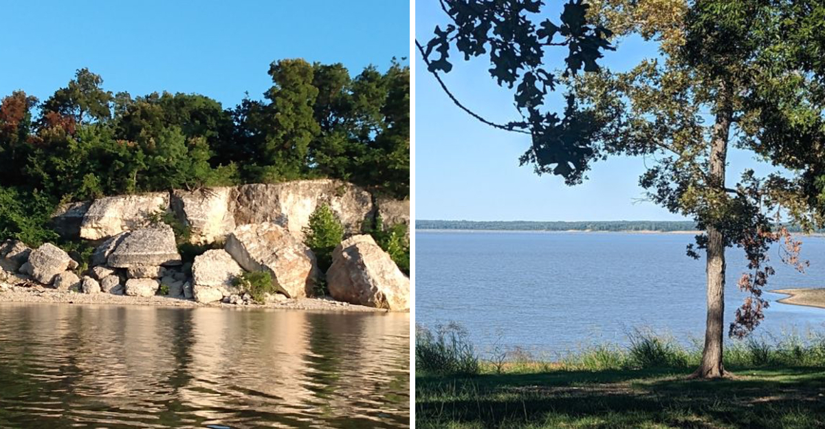 This Oklahoma lake used to cover the forest floor, now it reveals tree ...