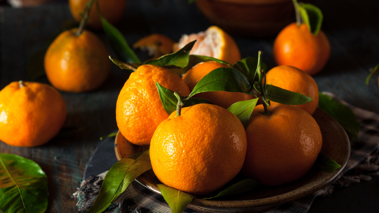 Do satsuma and shiranui mandarins taste different?