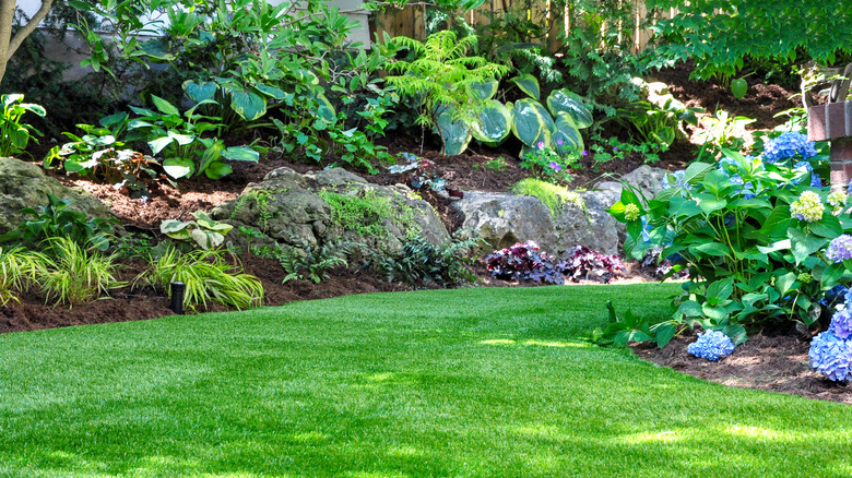 15 beautiful flowers that grow perfectly in shade
