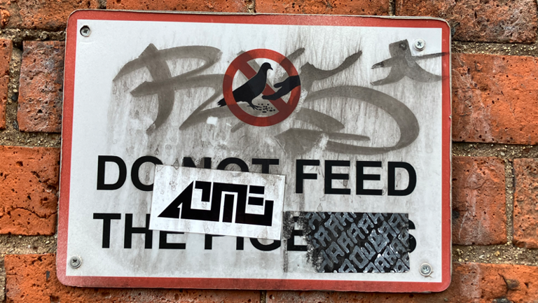 People warn of pigeon poo 'health hazard'