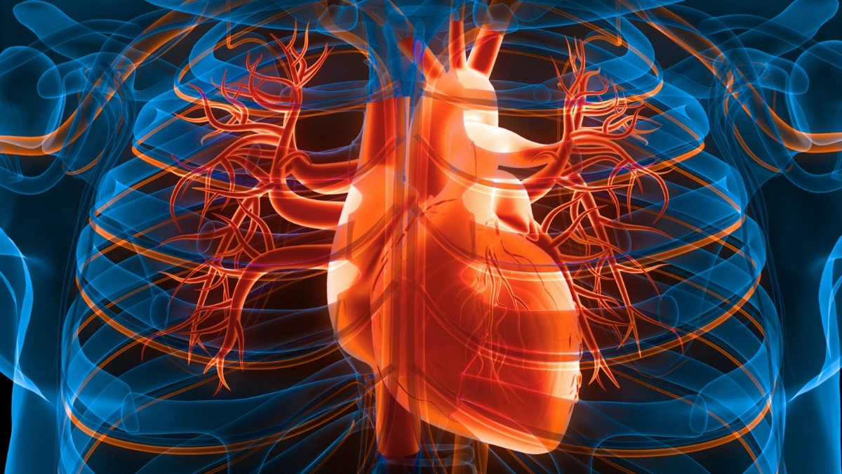 3 simple daily changes could lower your risk of heart attack and stroke