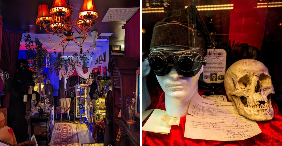 This bewitching Texas curiosity shop is filled with oddities that make ...
