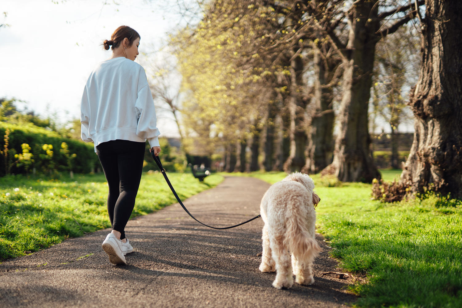 If you walk every day, here are the 2 other things you should be doing too
