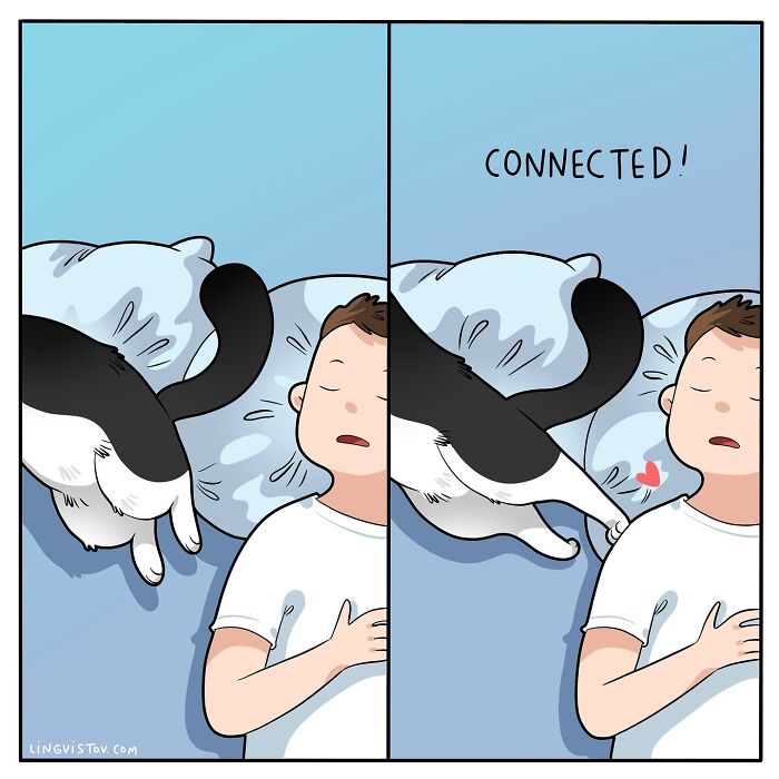 30 comics that perfectly capture life with a cat