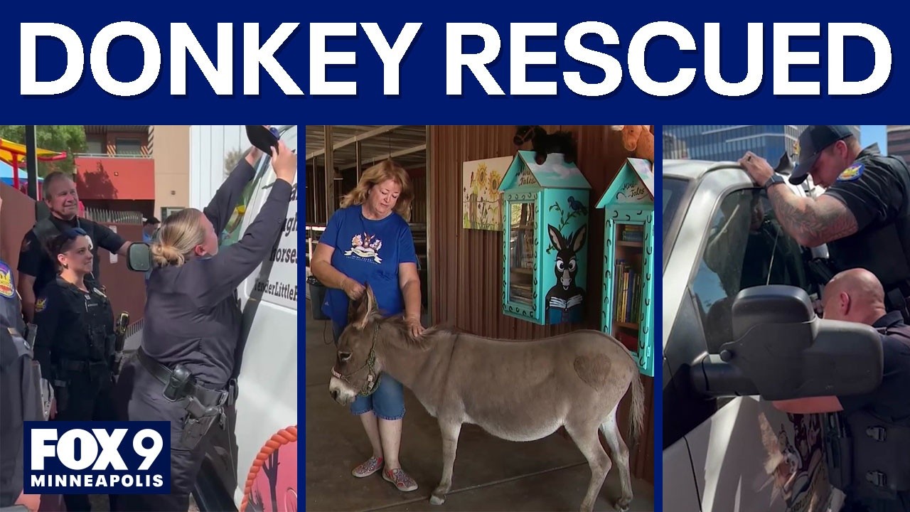 Police save therapy donkey in hot van rescue