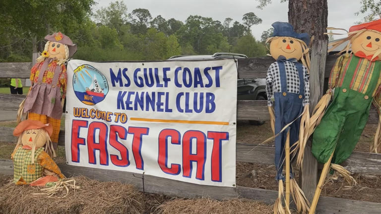 Canines compete at 2026 MS Gulf Coast Crawfish Cluster Dog Shows