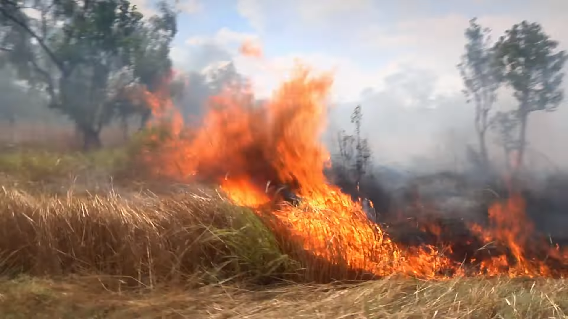 An uncontrollable fire threatens everything and they only have one ...