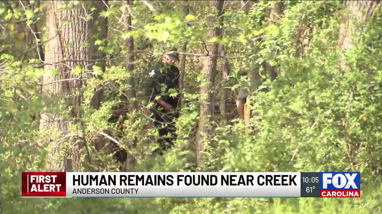 '50 bones': Kids discover skull, human remains in Upstate creek ...