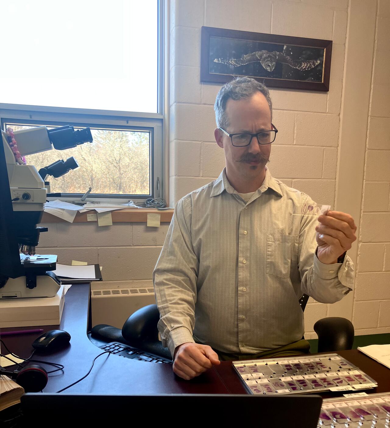 Provincial vet questions the future of veterinary laboratory services