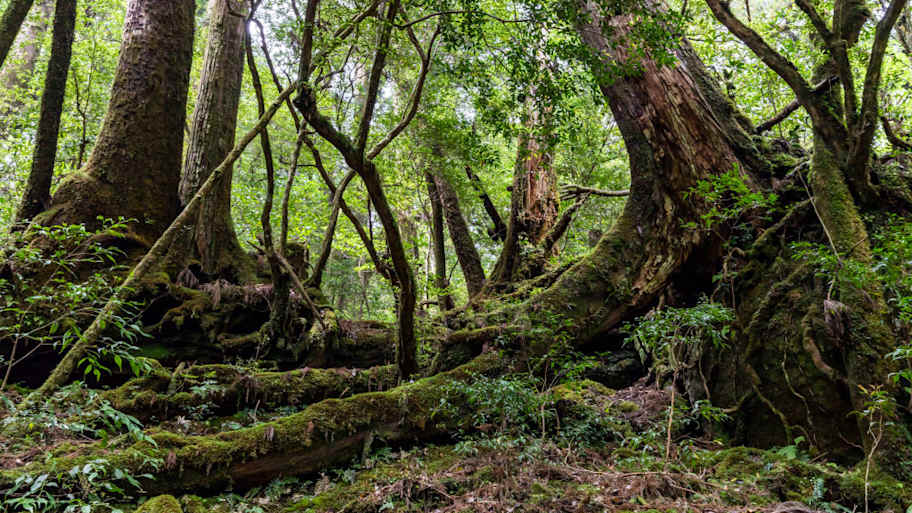 6 real places that belong in a Studio Ghibli film