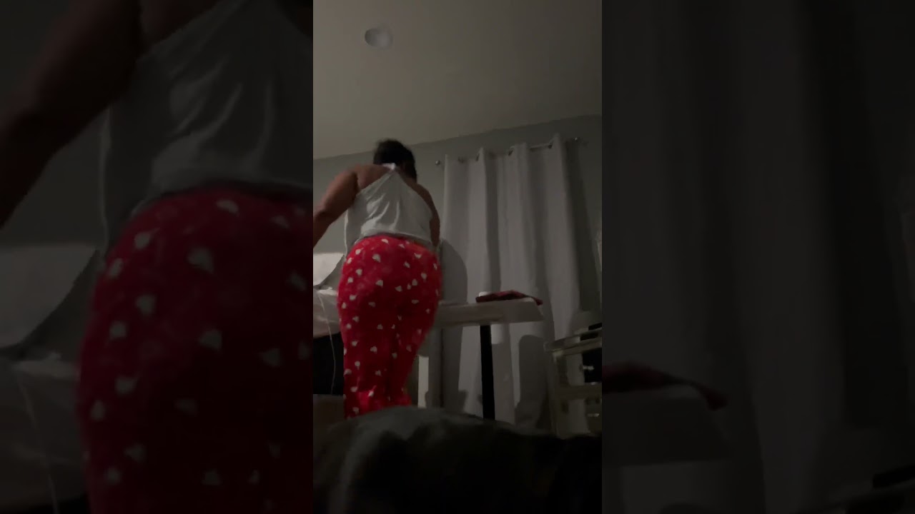Cane corso dog keeps doing things he should have learned not to do