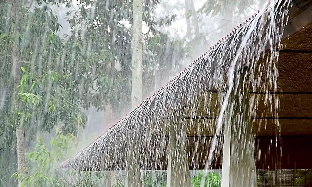 Rain, thunderstorm lash parts of Udupi district; trees fall on houses