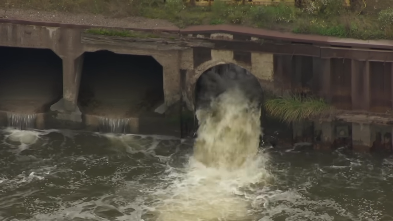 You flush the toilet… and this entire system activates