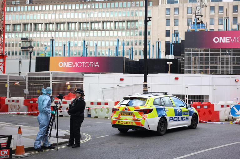 Two arrested over fatal stabbing of man, 26, near Westminster Abbey
