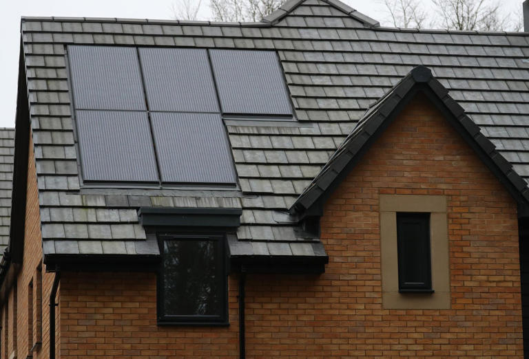 EON sees solar panel surge as households aim to cut energy costs