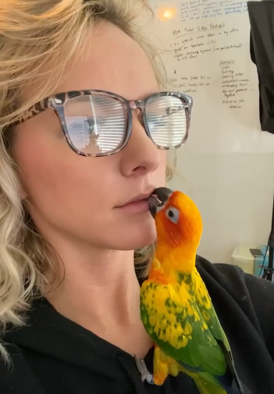Cute bird kisses its owner: Adorable bonding moment