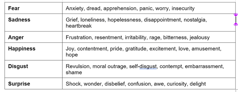 Feelings vs. emotions: What’s the difference and why it matters