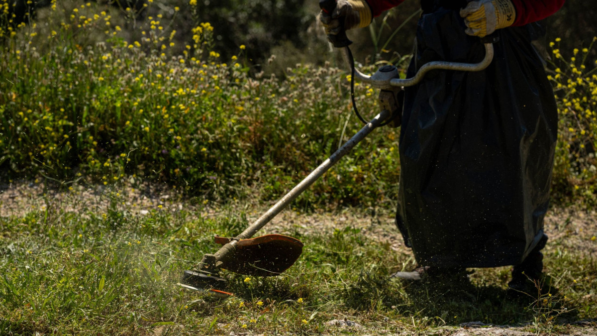 Πότε ξεκινούν οι υποχρεωτικοί καθαρισμοί οικοπέδων - Έως και 2.000 το ...